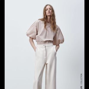 Zara | Tops | Zara Balloon Sleeve Top | Poshmark